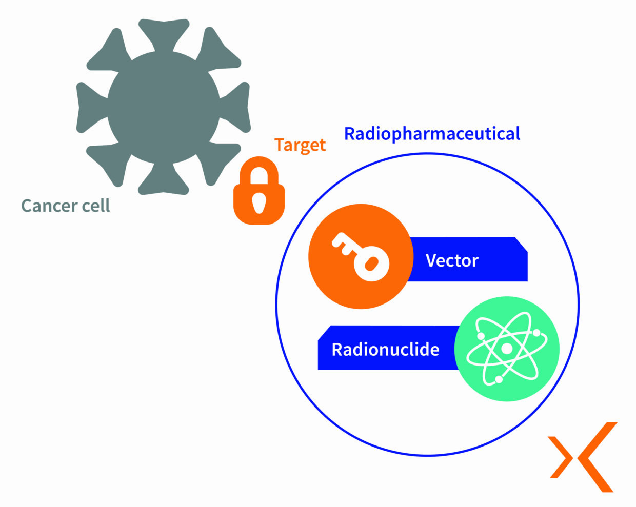The Lifecycle of Radiopharmaceuticals