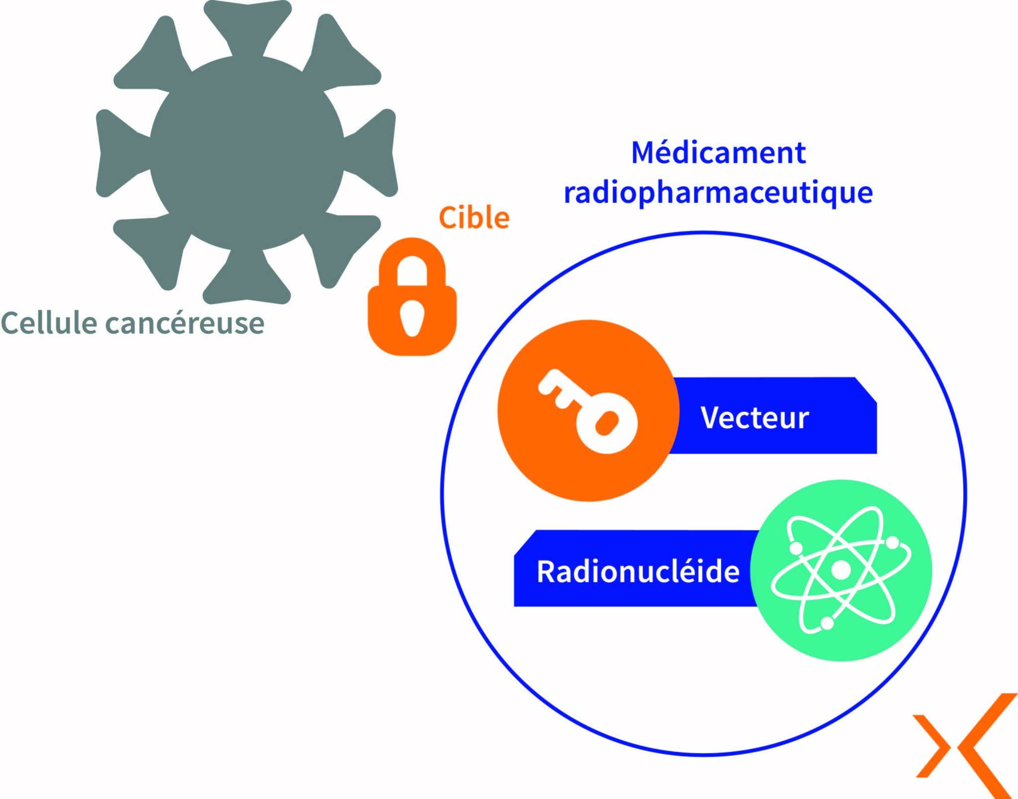 Le cycle de vie du Médicament RadioPharmaceutique